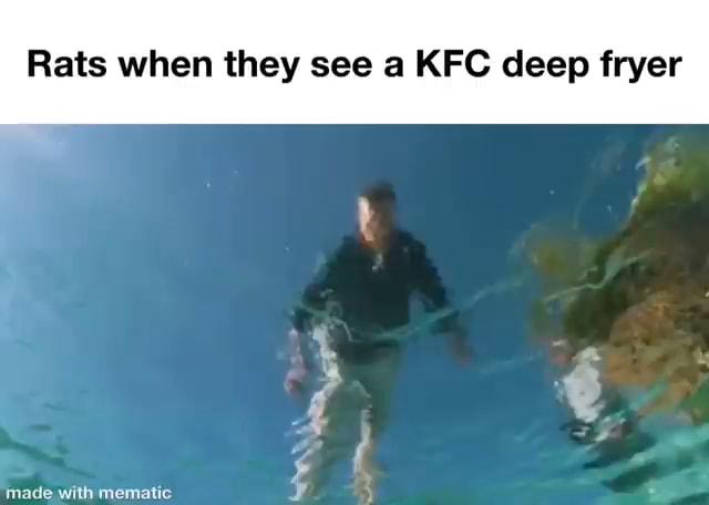 Rats when they see a KFC deep fryer Se - iFunny