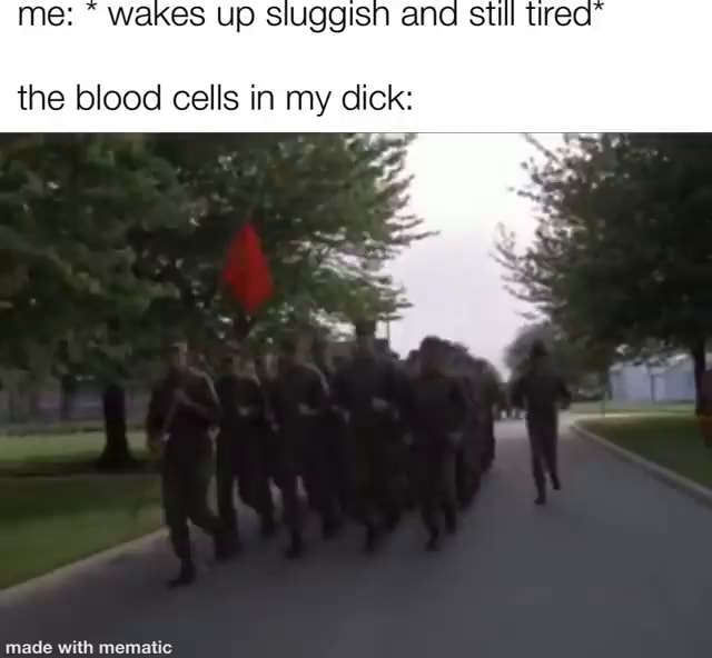 Me: wakes up sluggisn and the blood cells in my dick: made with - iFunny