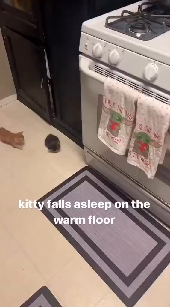 Kitty falls asleep on the warm floor - iFunny