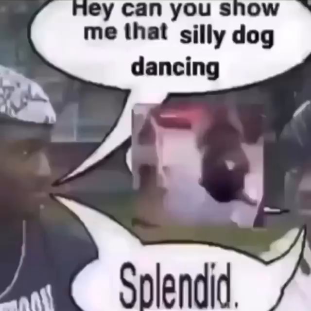 Rey Can you show me that silly dog dancing - iFunny