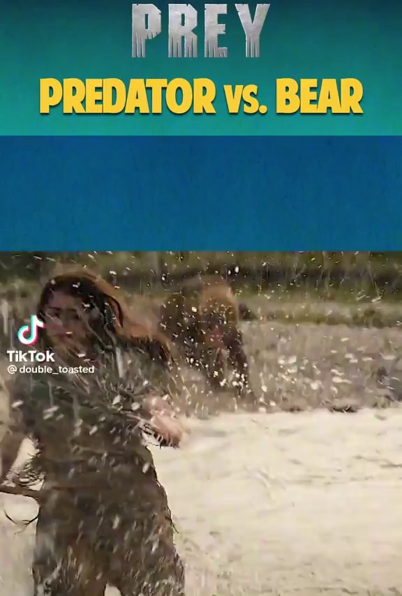 PREY PREDATOR vs. BEAR cf TikTok Le - iFunny