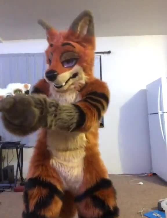 Playing cod as a furry - iFunny