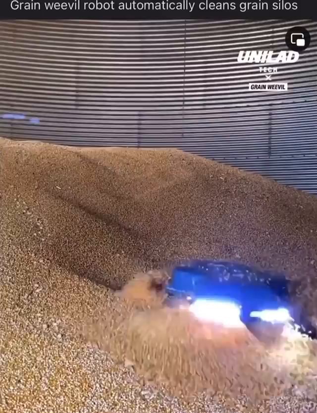 Grain weevil robot automatically cleans grain silos - iFunny