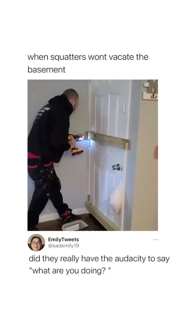 When squatters wont vacate the basement fl EmilyTweets did they really ...