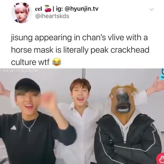 Jisung appearing in chan's vlive with a horse mask is literally peak ...