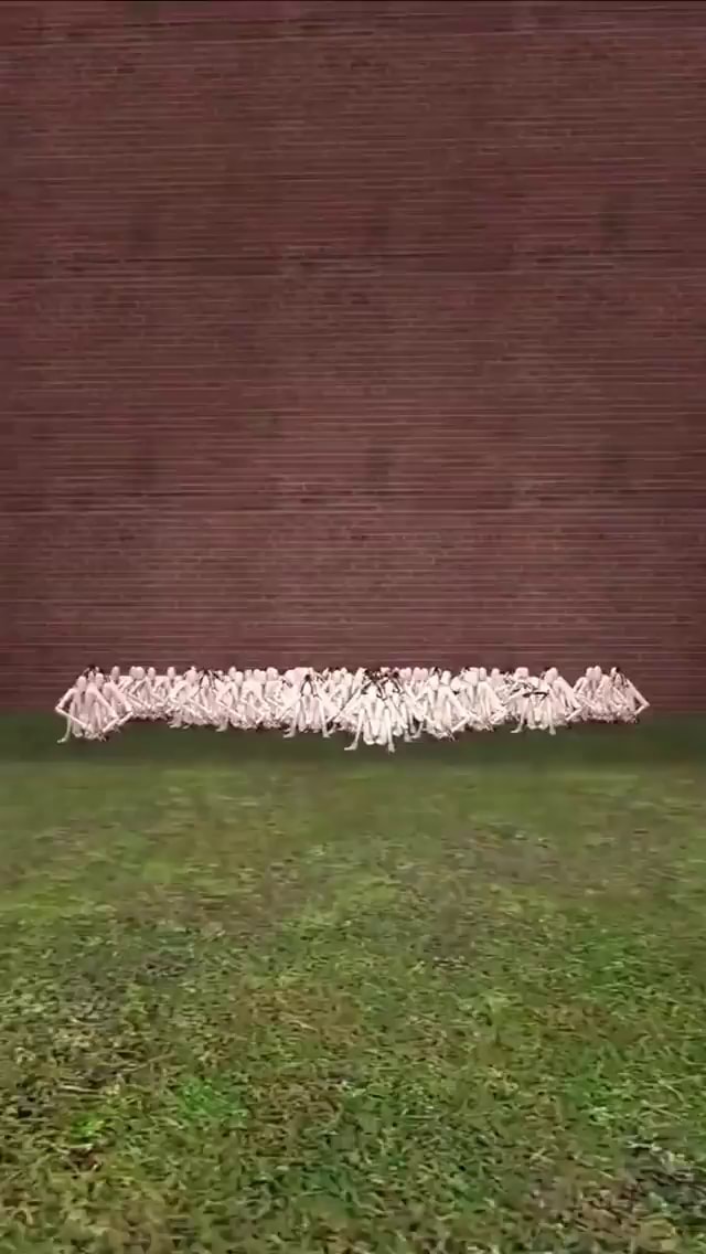 Video memes JSmzLx0iA by Distorted_Artist: 148 comments - iFunny