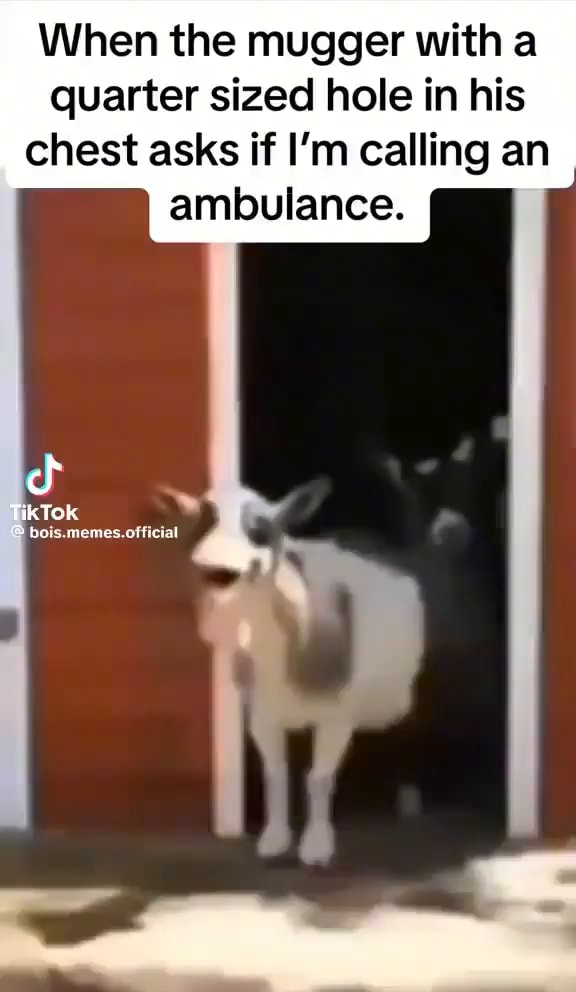 When the mugger with a quarter sized hole in his chest asks if I'm ...