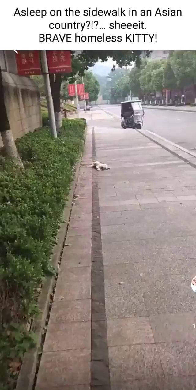 Asleep on the sidewalk in an Asian country?!?... sheeeit. BRAVE ...