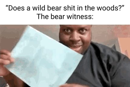 "Does a wild bear shit in the woods?" The bear witness: - iFunny
