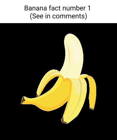 Banana fact number 1 (See in comments) - iFunny