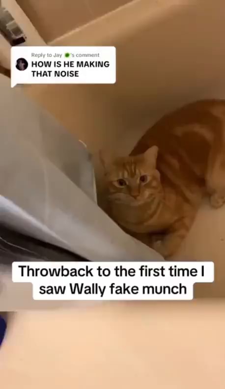 Ne HOW IS HE MAKING THAT NOISE Throwback to the first time I saw Wally ...