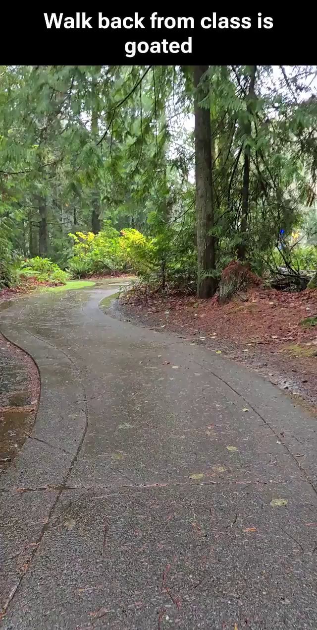 Walk back from class is goated - iFunny