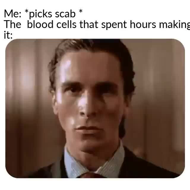 Me: *picks scab * The blood cells that spent hours makings it: - iFunny
