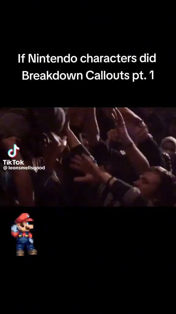 If Nintendo Characters Did Breakdown Callouts Pt 1 Tiktok We Ifunny