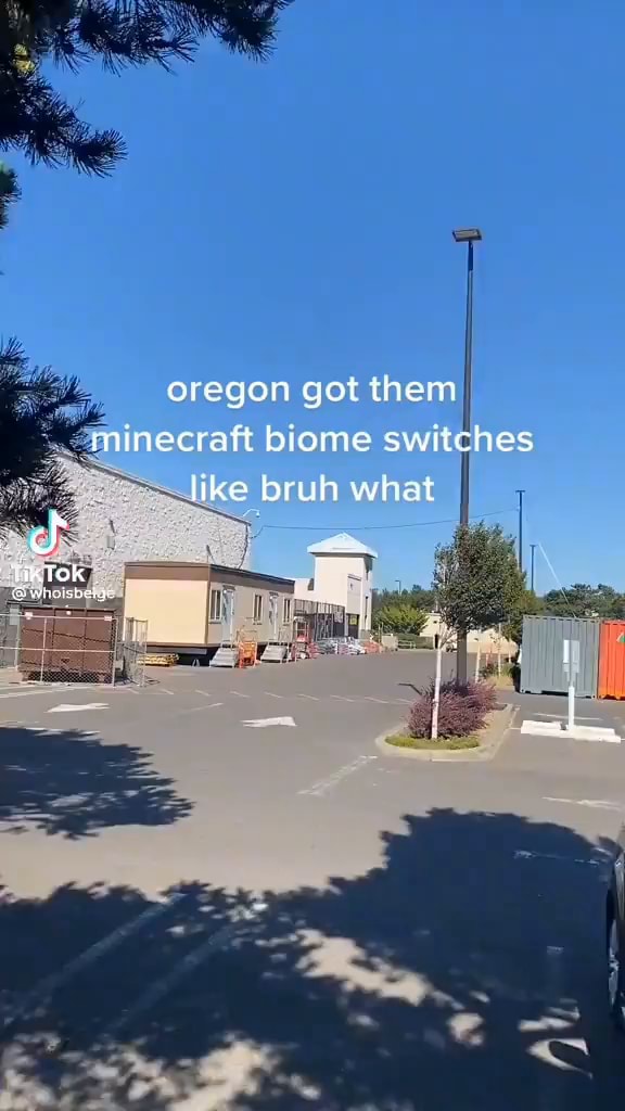 Oregon got them minecraft biome switches like bruh what I - iFunny