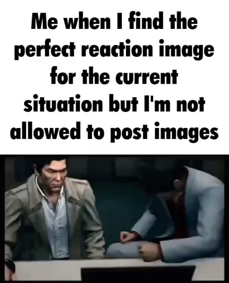 Me when I find the perfect reaction image for the current situation but ...