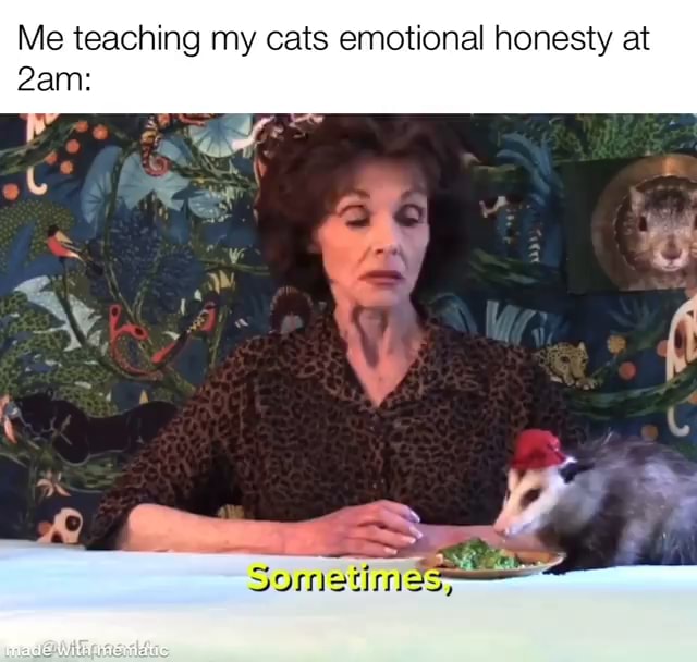 Me teaching my cats emotional honesty at - iFunny