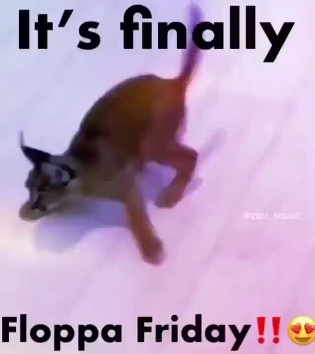 It's finally Floppa Friday!! - iFunny