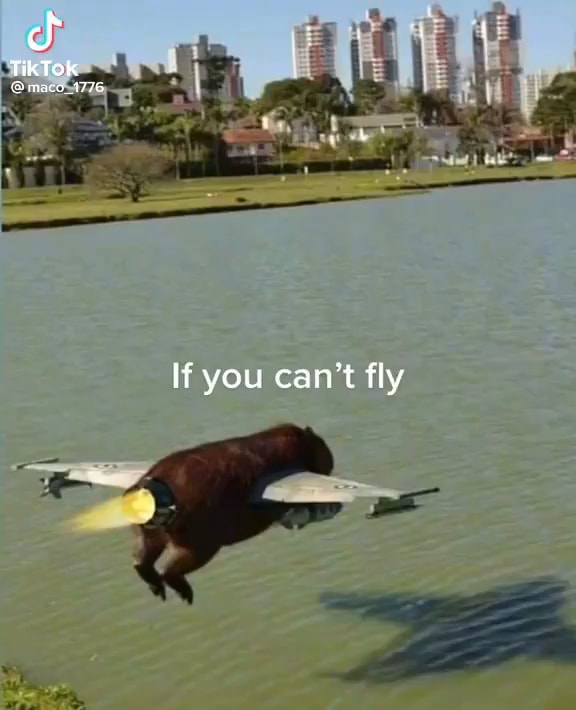 TikTok If you can't fly - iFunny