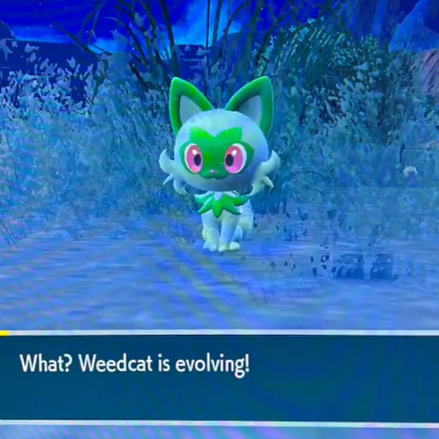 What? Weedcat is evolving! - iFunny