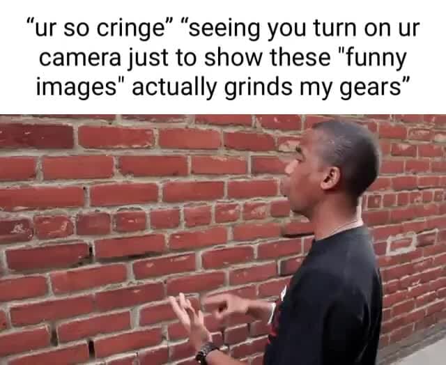 "ur so cringe" "seeing you turn on ur camera just to show these "funny ...