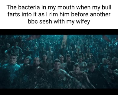 The bacteria in my mouth when my bull farts into it as I rim him before ...