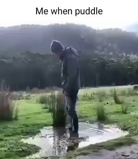 Me when puddle - iFunny