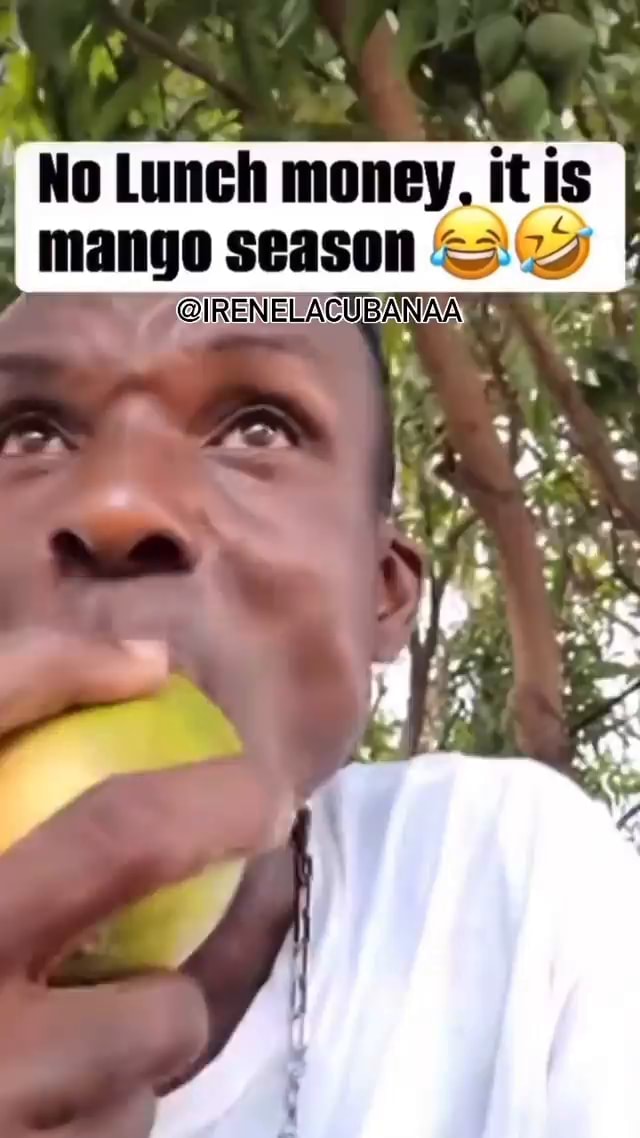 No Lunch money, it is I mango season - iFunny