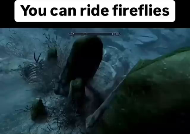 I You can ride fireflies I - iFunny