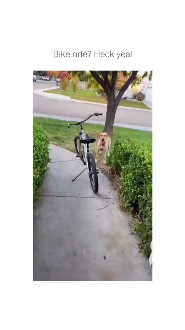Bike ride? Heck yea! - iFunny