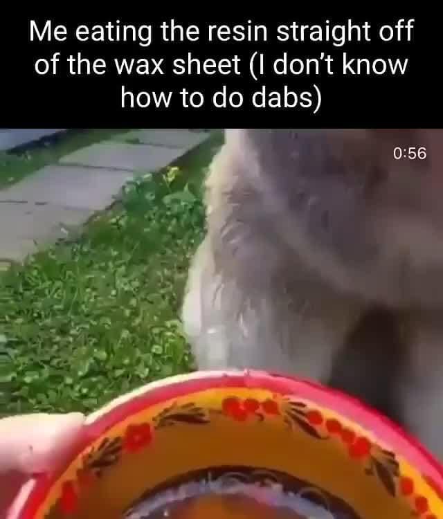 Me eating the resin straight off of the wax sheet (I don't know how to ...