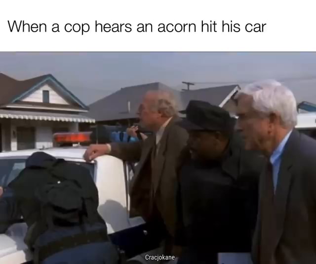 When a cop hears an acorn hit his car Cracjokane - iFunny