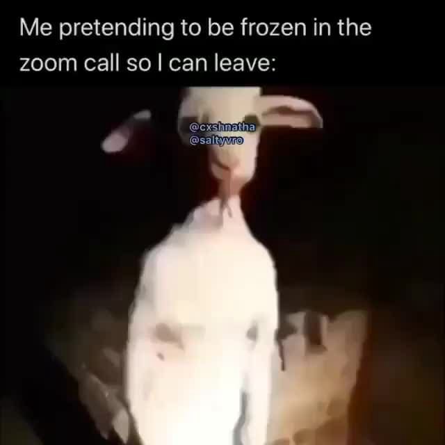 Me pretending to be frozen in the zoom call so I can leave: - iFunny