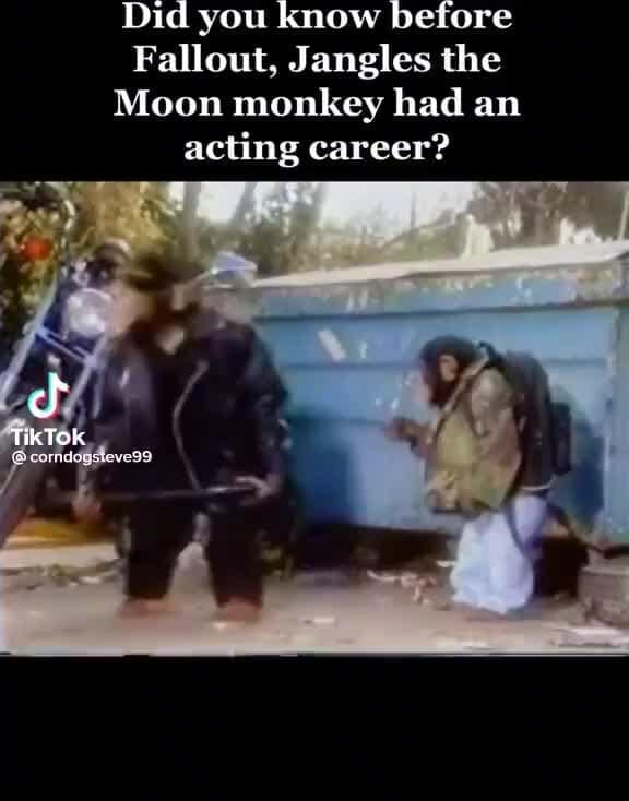 Did you know before Fallout, Jangles the Moon monkey had an acting ...