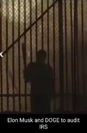 Elon Musk and DOGE to audit IRS - iFunny