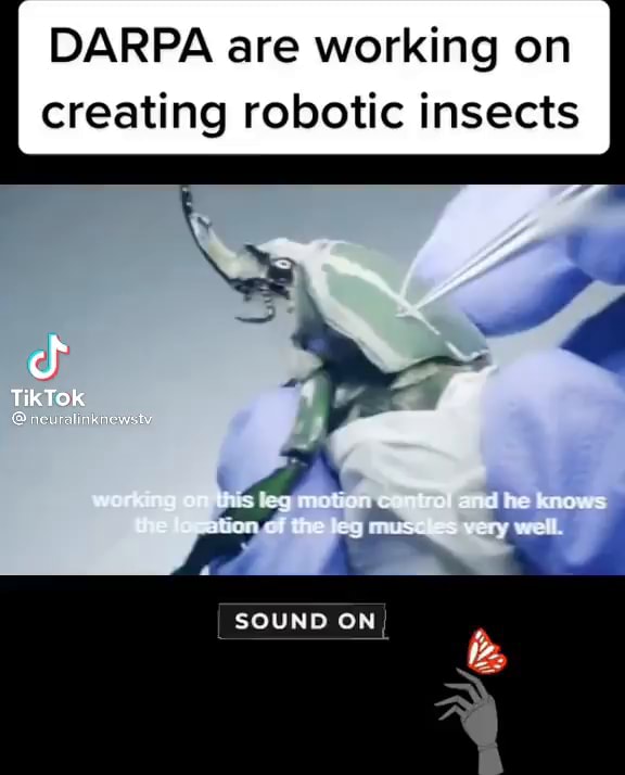 DARPA are working on creating robotic insects TikTok SOUNO ON, - iFunny