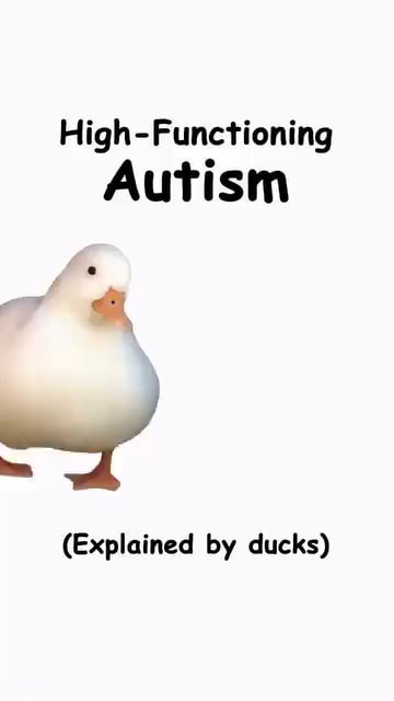 High Functioning Autism Explained By Ducks Ifunny