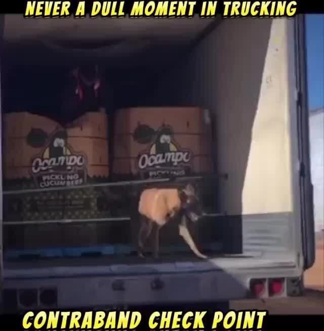 NEVER A DULL MOMENT IN TRUCKING CONTRABAND CHECK POINT - iFunny