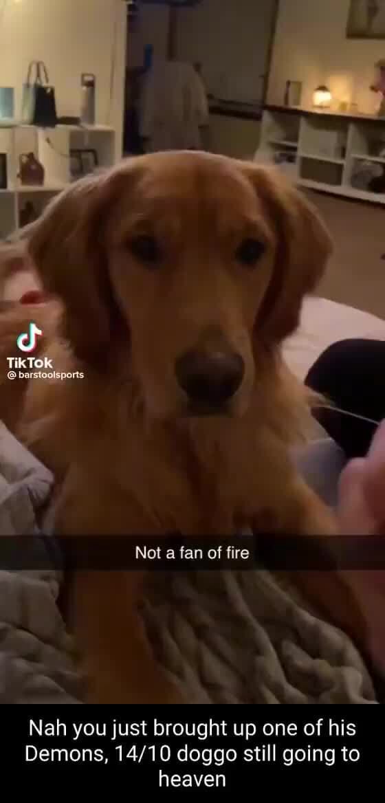 TikTe Not a fan of fire Nah you just brought up one of his Demons ...