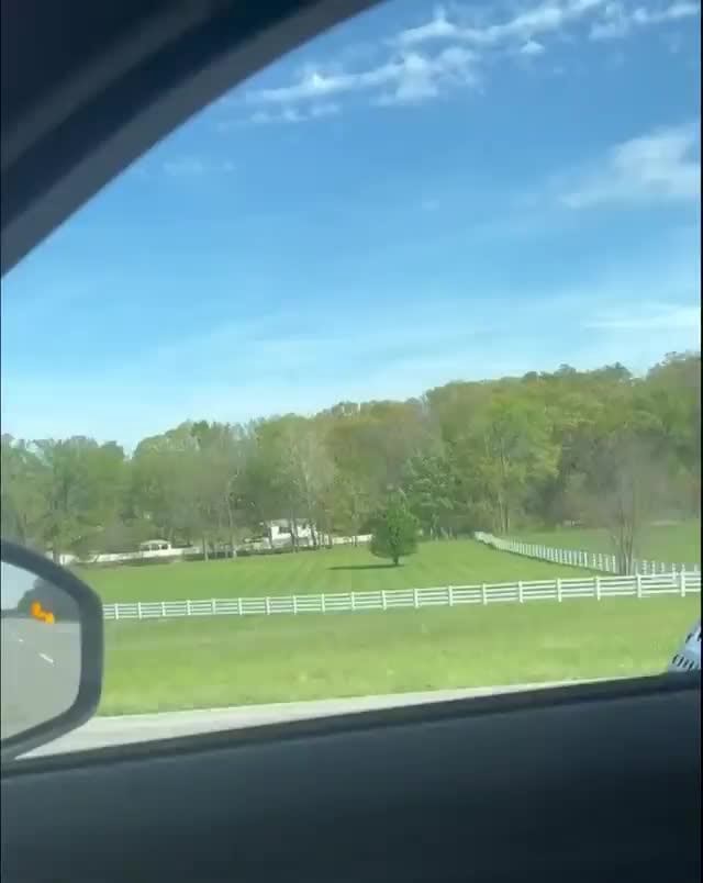 Video memes IJwzZdicB by tompi: 49 comments - iFunny