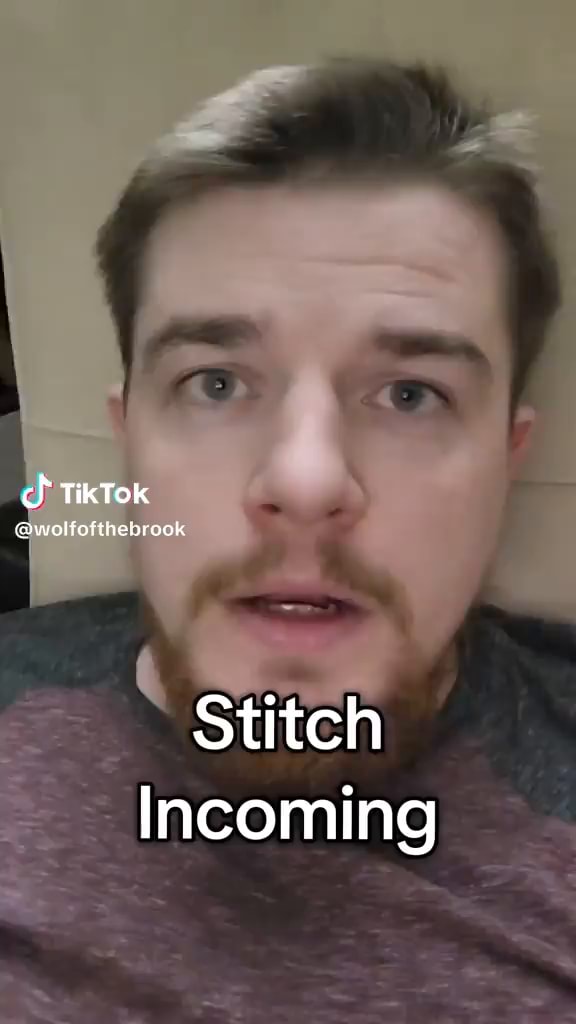 Ch TikTok @wolfoftheprook Stitch Incoming - iFunny