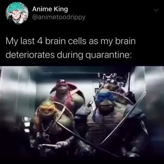 My last 4 brain cells as my brain deteriorates during quarantine: - iFunny