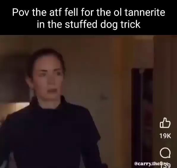 Pov the atf fell for the ol tannerite in the stuffed dog trick - iFunny
