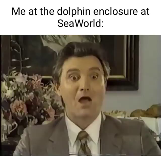 Me at the dolphin enclosure at SeaWorld: - iFunny