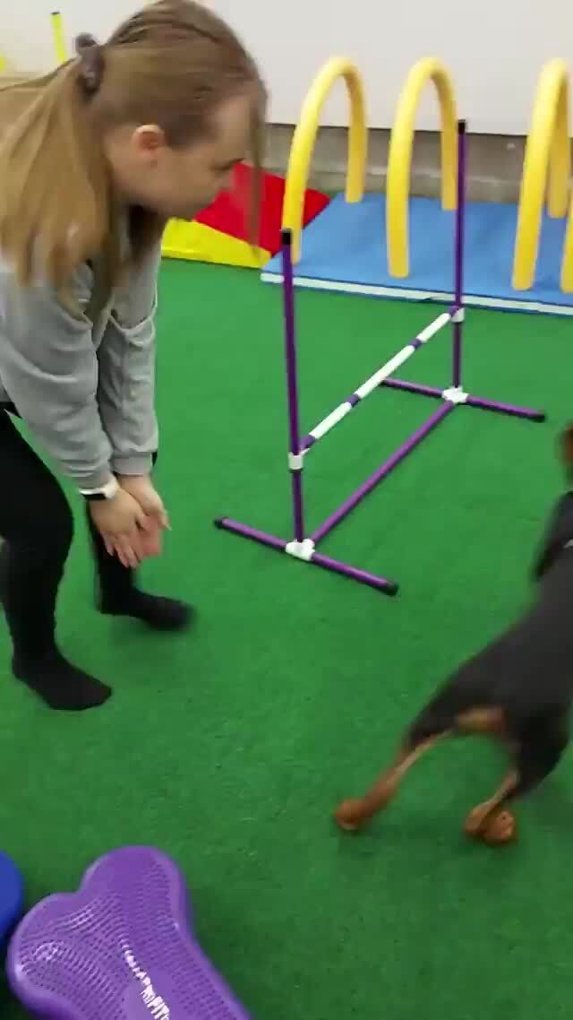 Playground Part 2 Ifunny 