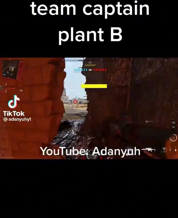Team captain plant B TikTok @adanyuhyt YouTube; Adanyuh - iFunny