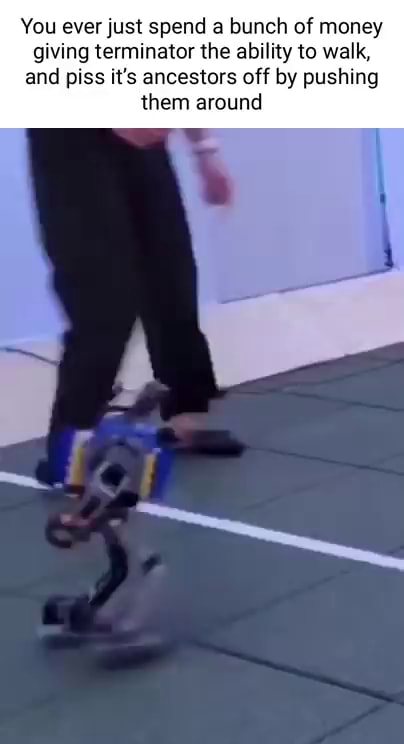 You ever just spend a bunch of money giving terminator the ability to ...