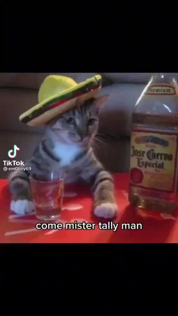 TikTok come mister tally man - iFunny