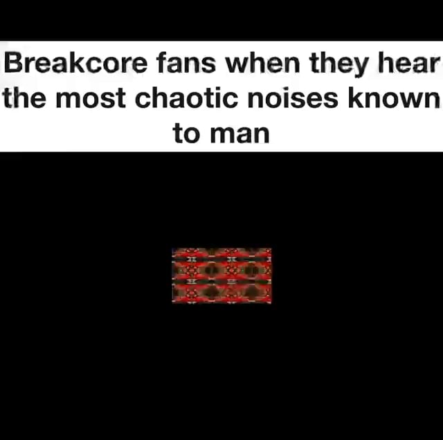 Breakcore fans when they hear the most chaotic noises known to man - iFunny