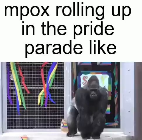Mpox rolling up in the pride parade like - iFunny